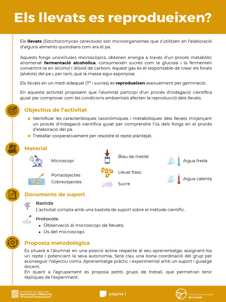 1r LAB Reproduccio Llevats Revisat | PDF