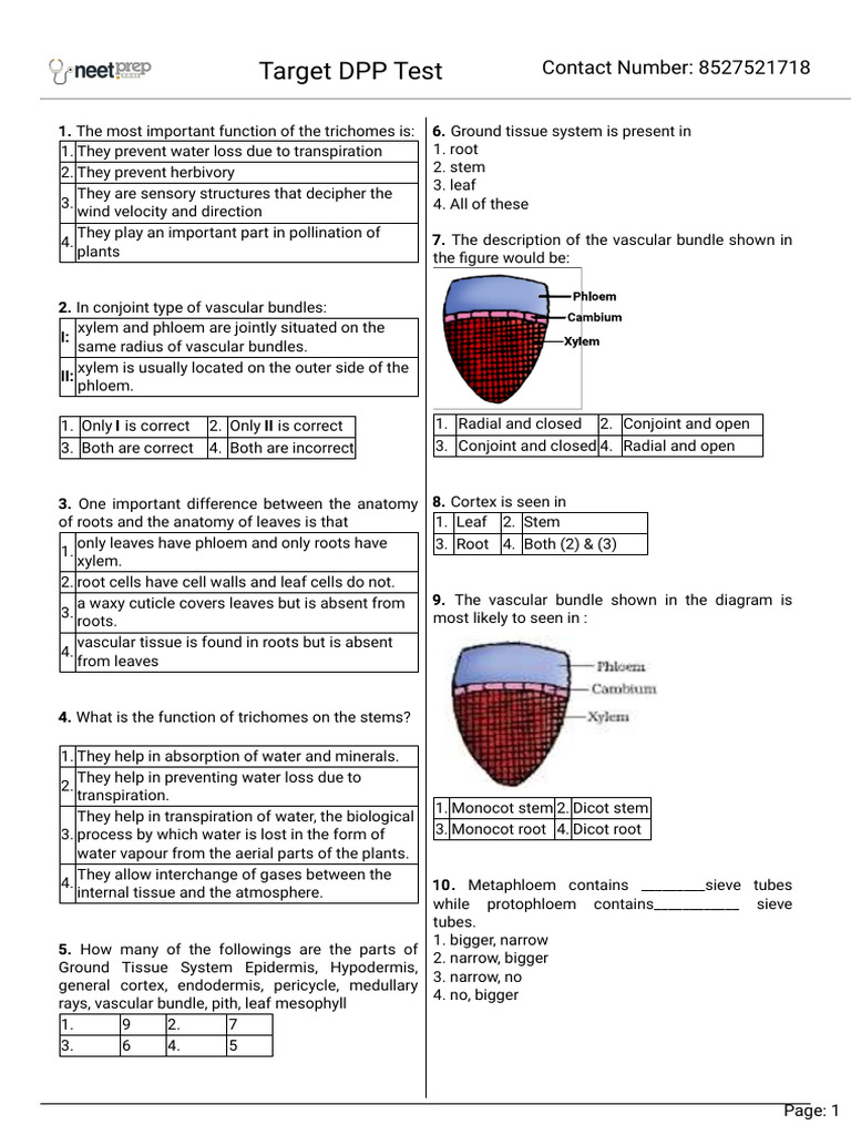 Plant Anatomy and Function Quiz | PDF | Plant Stem | Leaf
