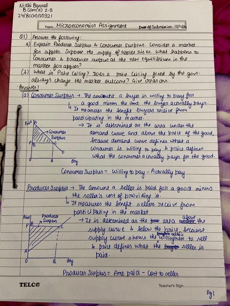 Eco Assignment | PDF