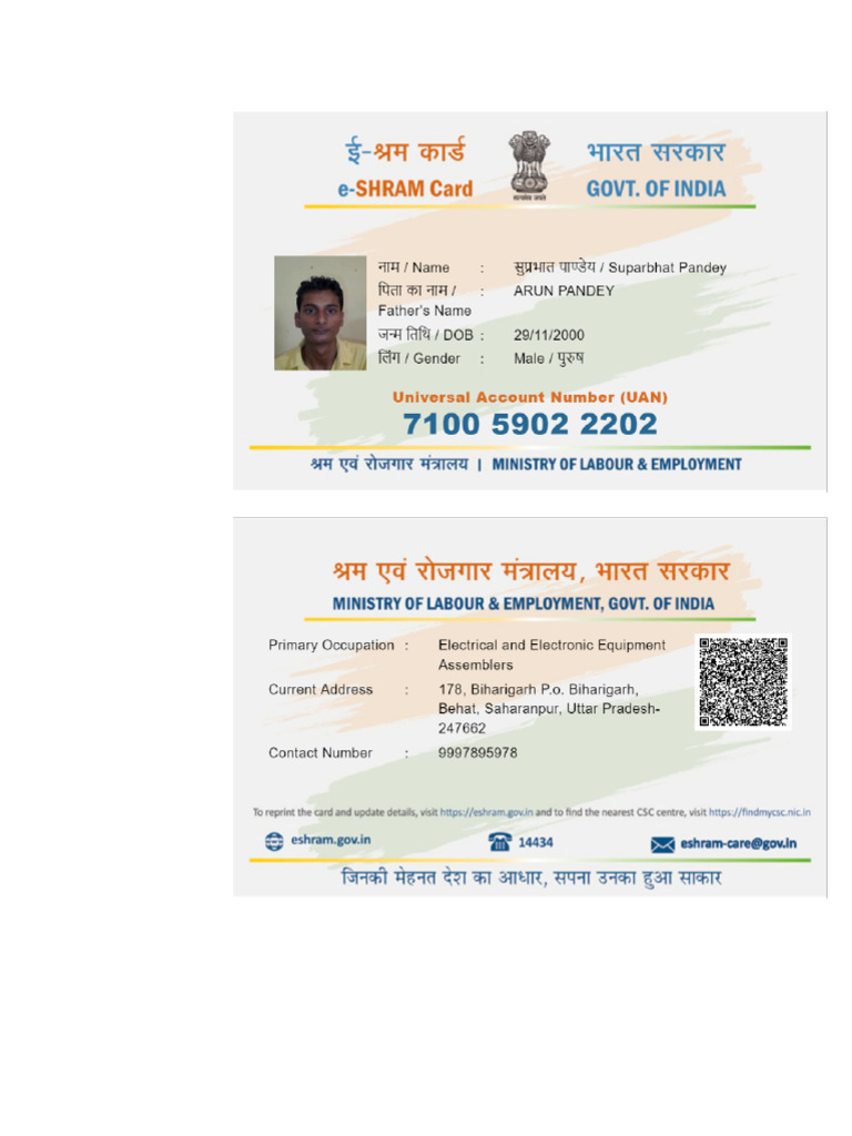 E Shram Card | PDF