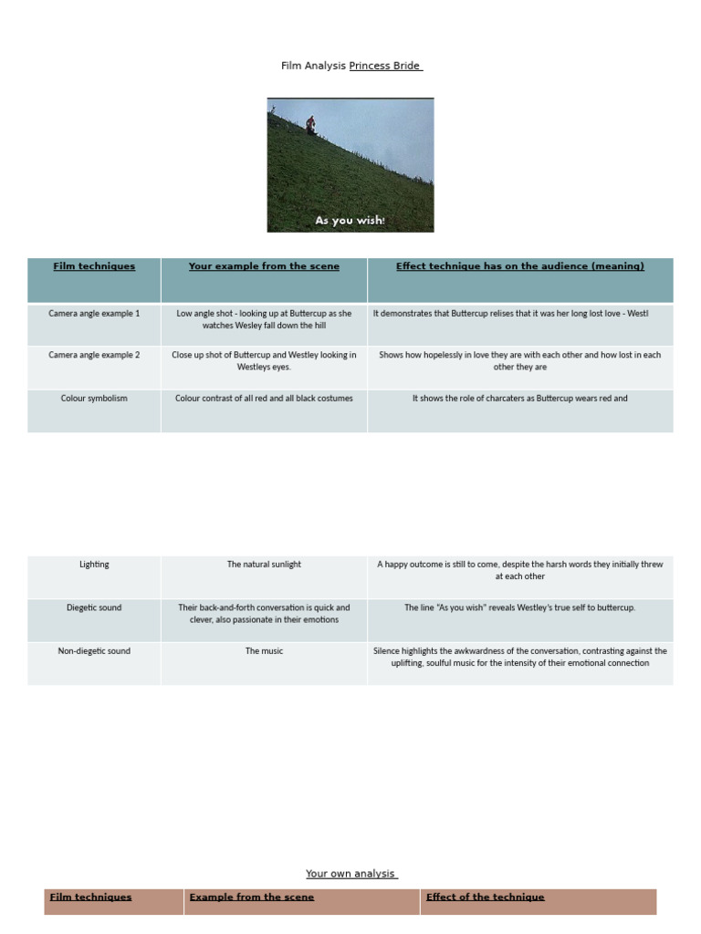 Film Analysis Princess Bride | PDF