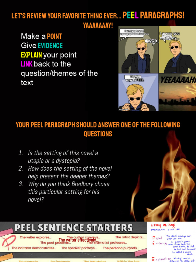 PEEL Transitions and Words | PDF