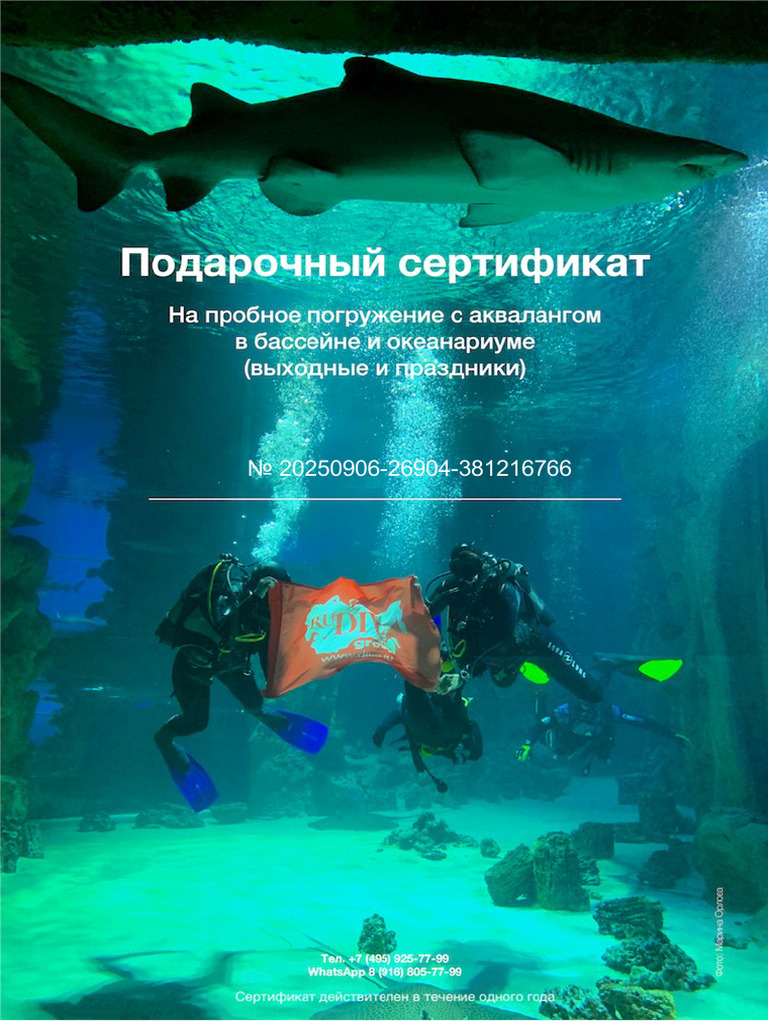 Certificate Certificate For Diving in Oceanarium | PDF