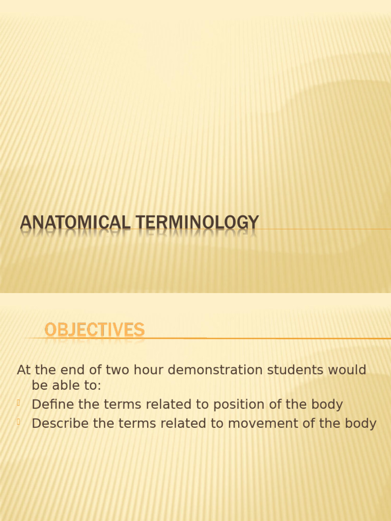 Anatomical Terminology | PDF | Anatomical Terms Of Location | Anatomy