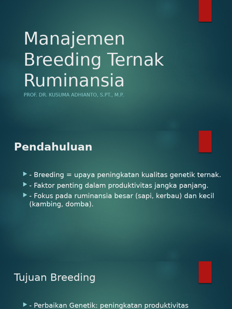 Strategi Breeding Ruminansia Efektif | PDF