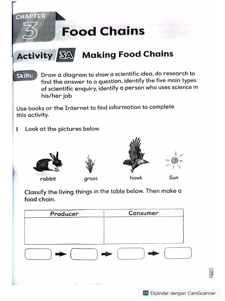 23-29 Chapter 3-Food Chains | PDF
