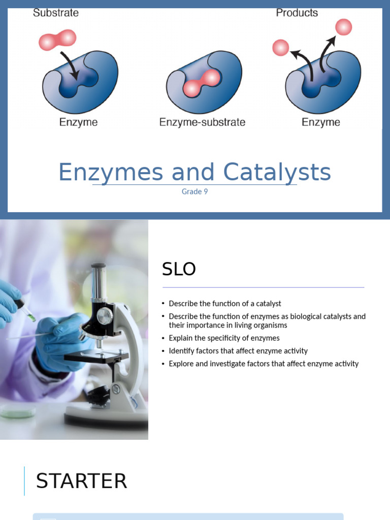 W 2-1 ENzymes and Catalysts | PDF | Enzyme | Active Site