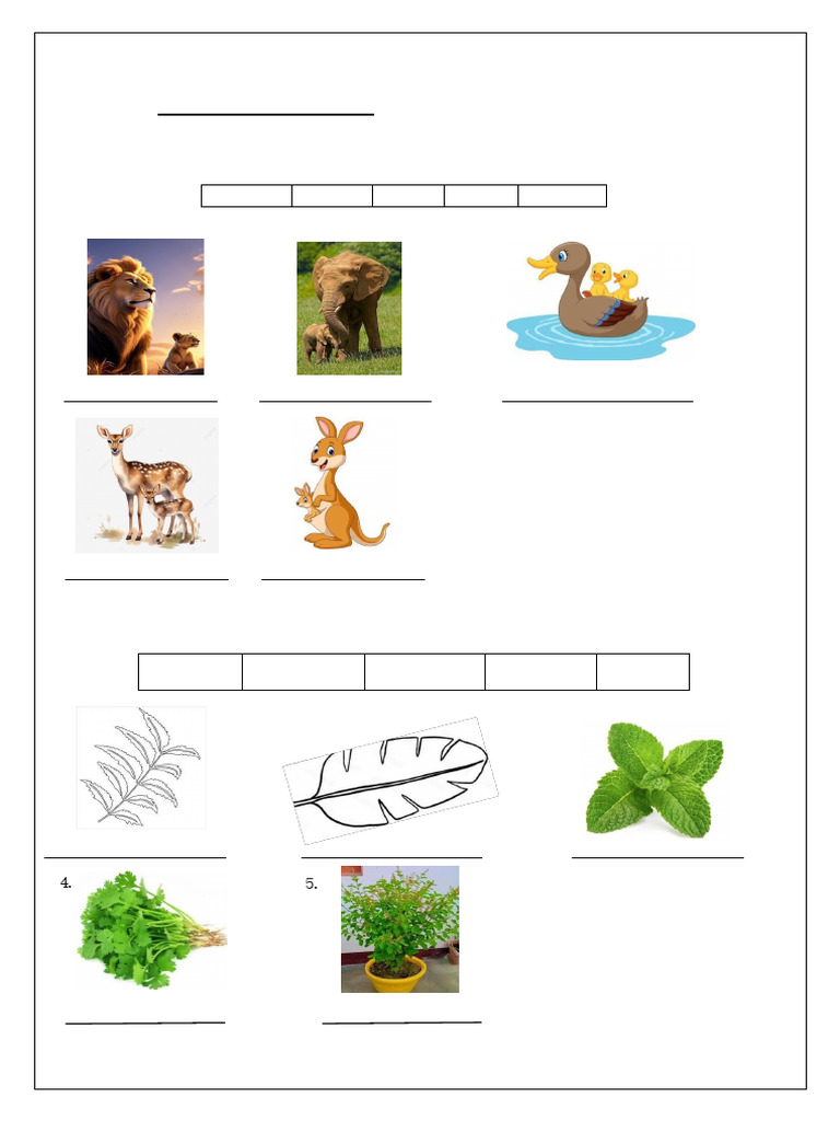 GK Worksheet | PDF
