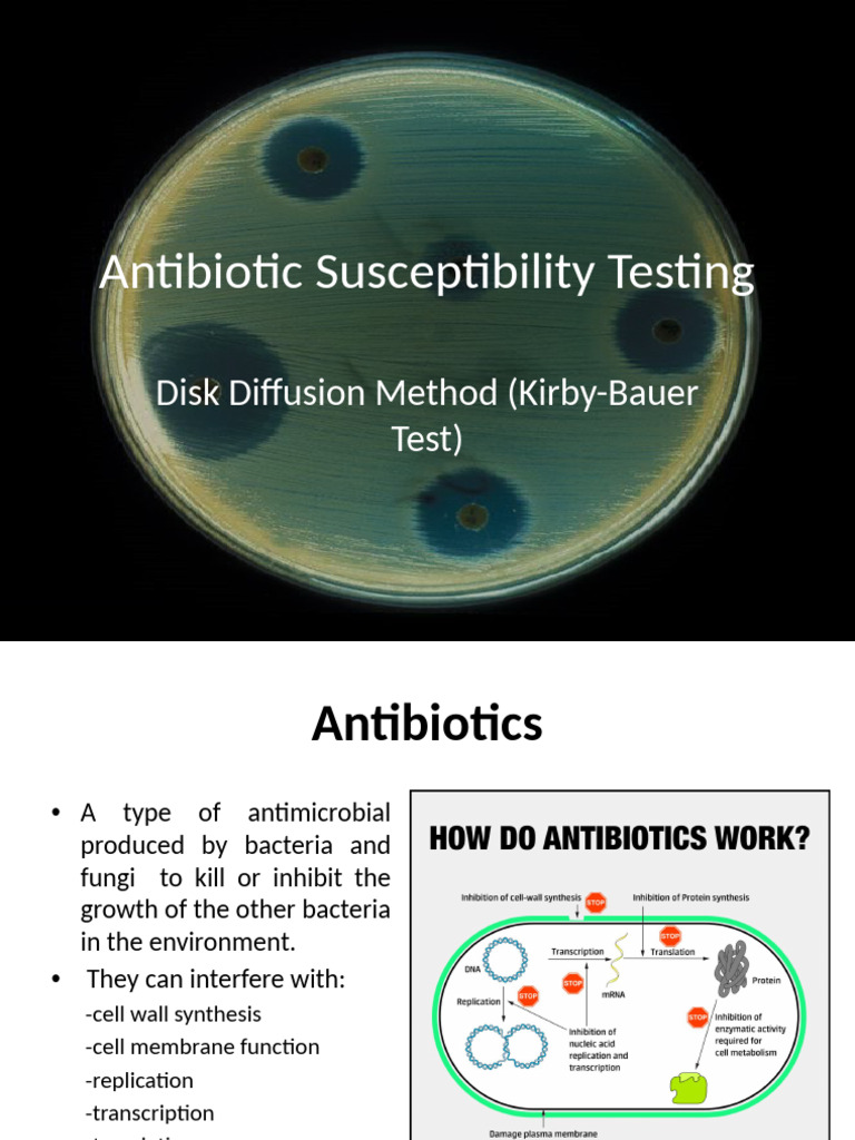 Antibiotic Susceptibility Testing Guide | PDF | Organisms | Antibiotics