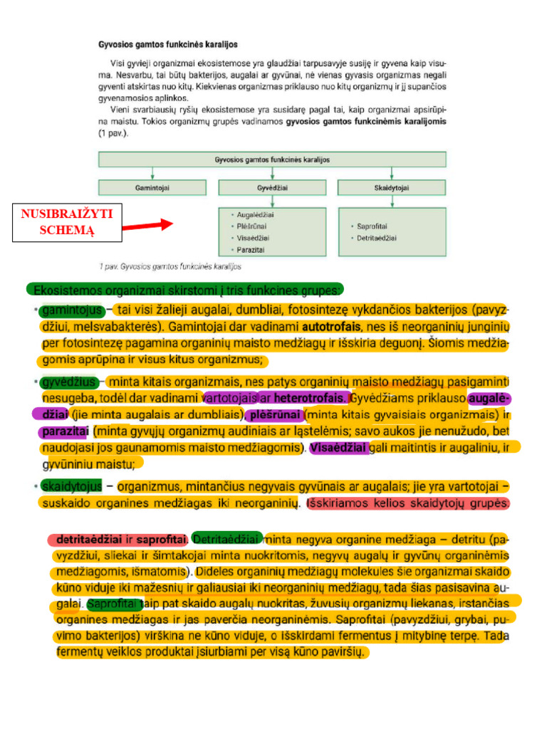 Funkcines Karalystes | PDF
