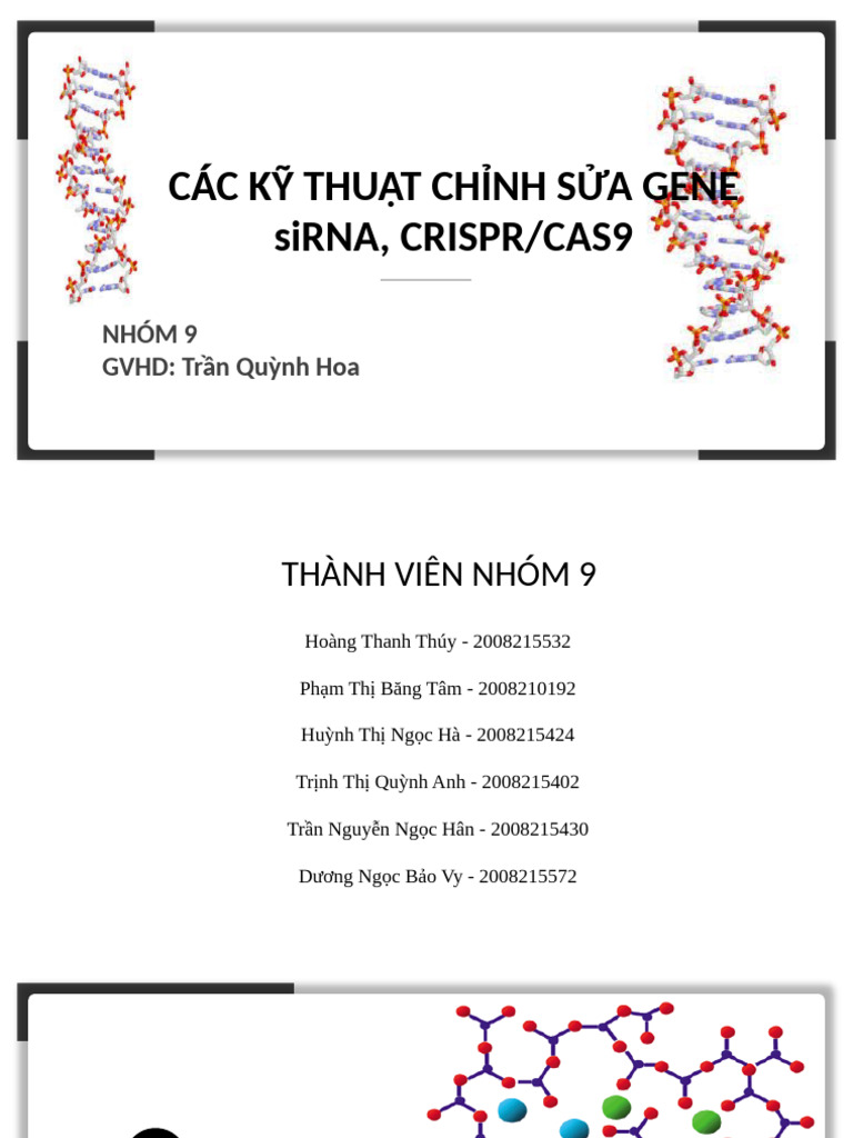 Phương Pháp NG D NG C A siRNA, CRISPR | PDF