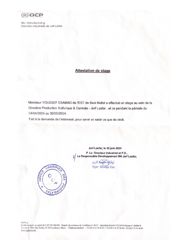 SBU Manufacturing | PDF