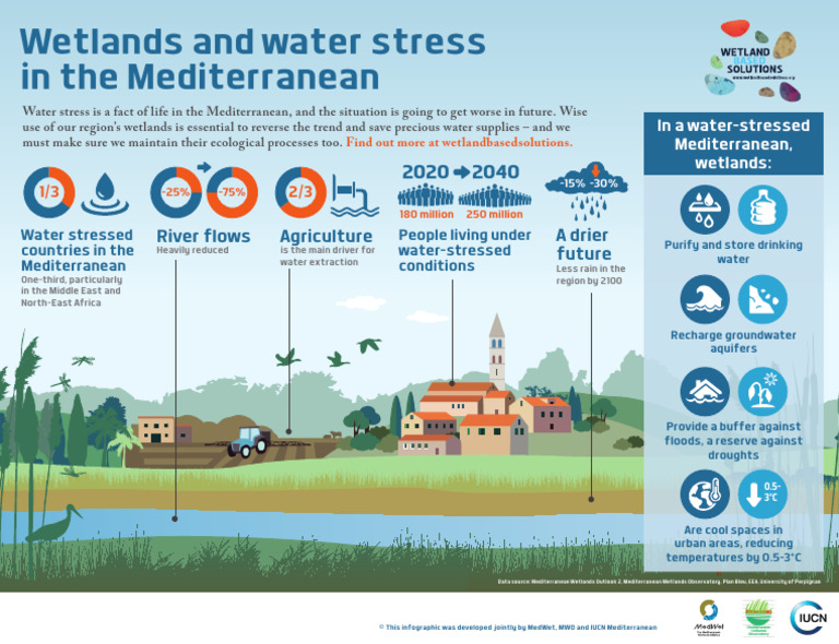 Mediterranean Wetlands and Water Stress | PDF | Water Scarcity | Water