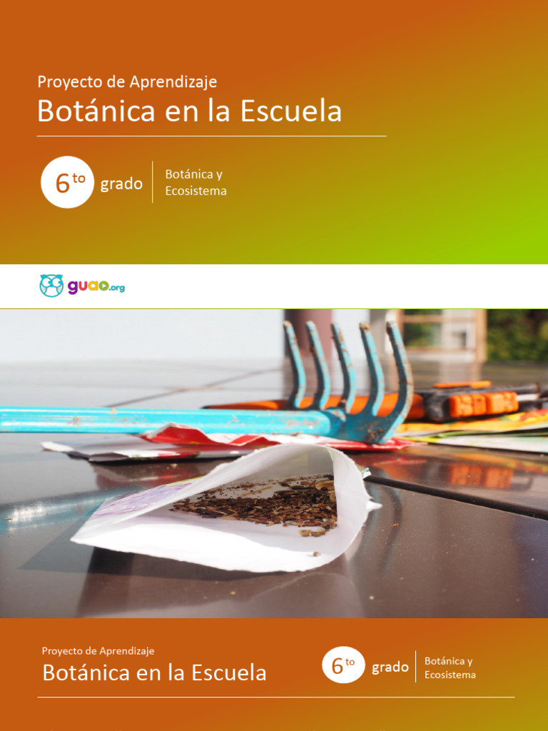 Proyecto de Botánica Escolar: Cultivos Sostenibles | PDF | Aprendizaje ...