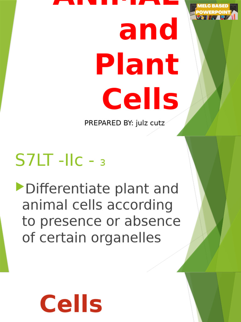 G7 Science Q2 Week 4 Plant and Animal Cell | PDF