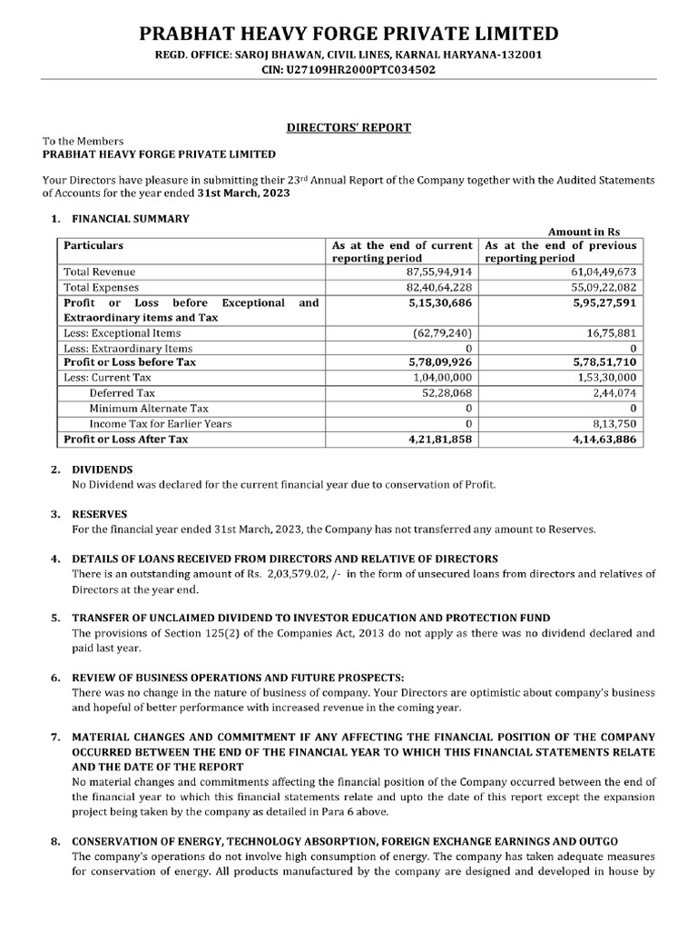 Director Report 2023 | PDF