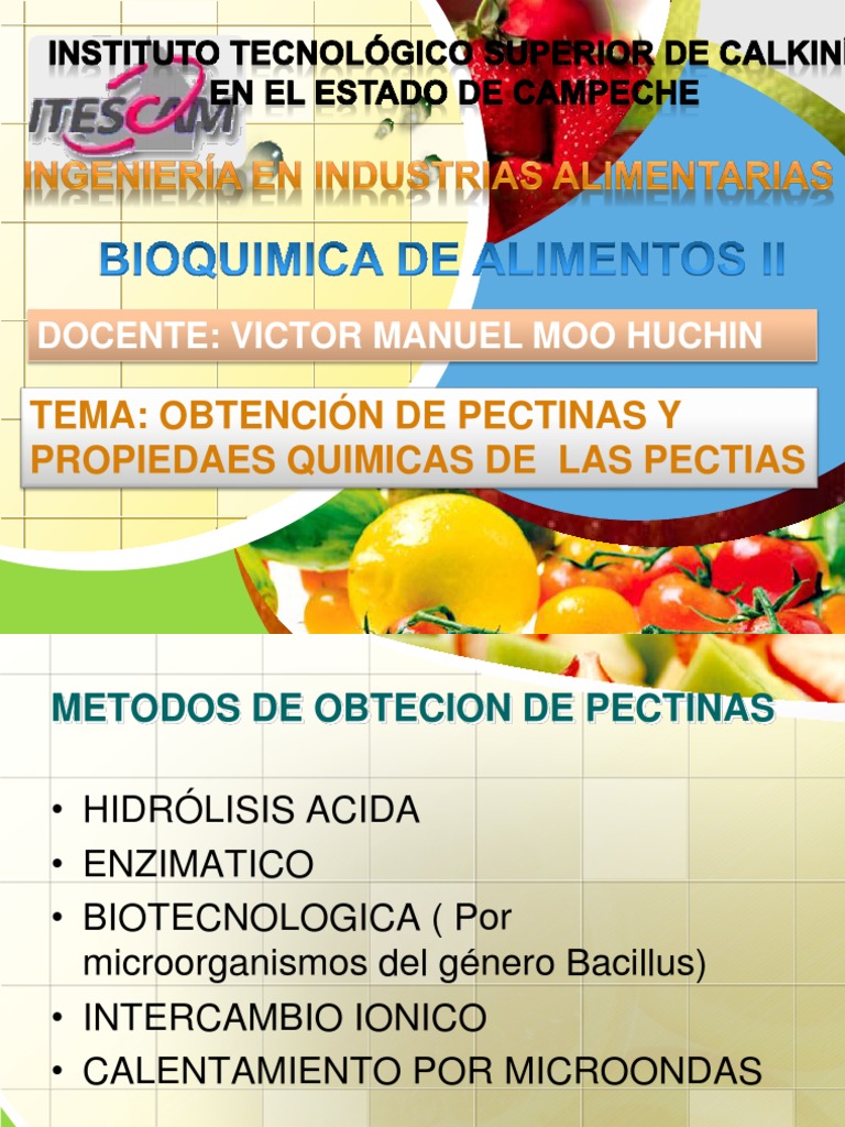 Obtención de Pectinas | PDF | Cocina, comidas y vino