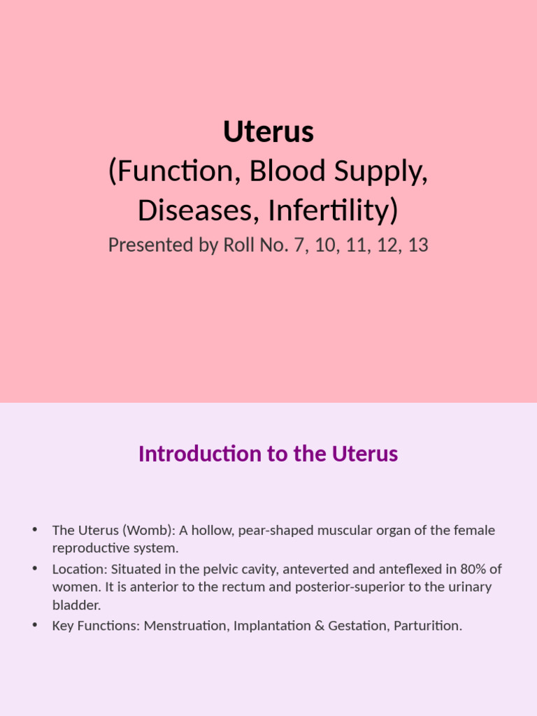 Uterus Presentation With PinkBG DarkText | PDF | Uterus | Mammal Female Reproductive System