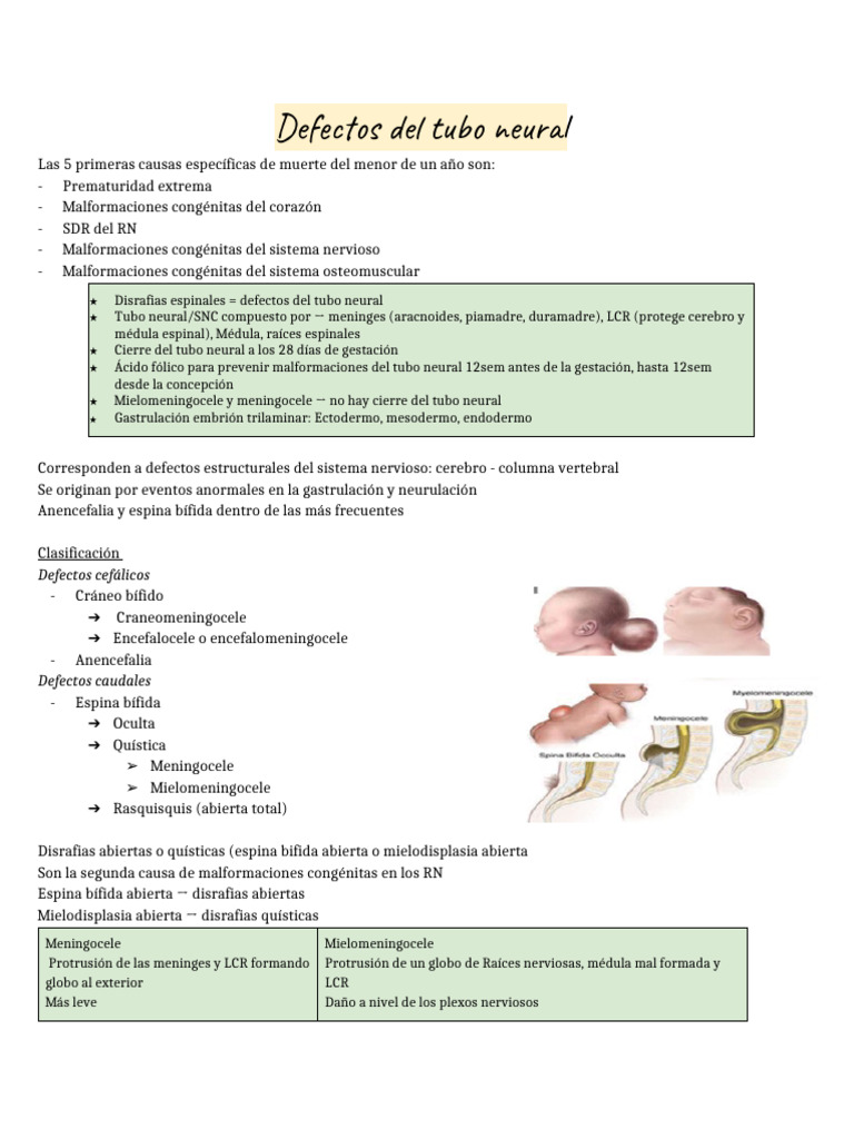 Defectos del Tubo Neural en Neonatos | PDF | Fluido cerebroespinal ...