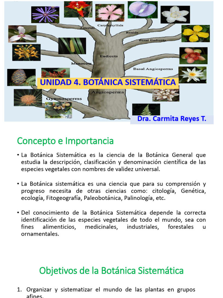 Botánica Sistemática y Biodiversidad en Ecuador | PDF | Botánica | Clima