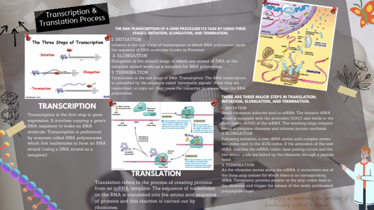 The Molecular Mechanisms of Transcription and Translation in Gene ...