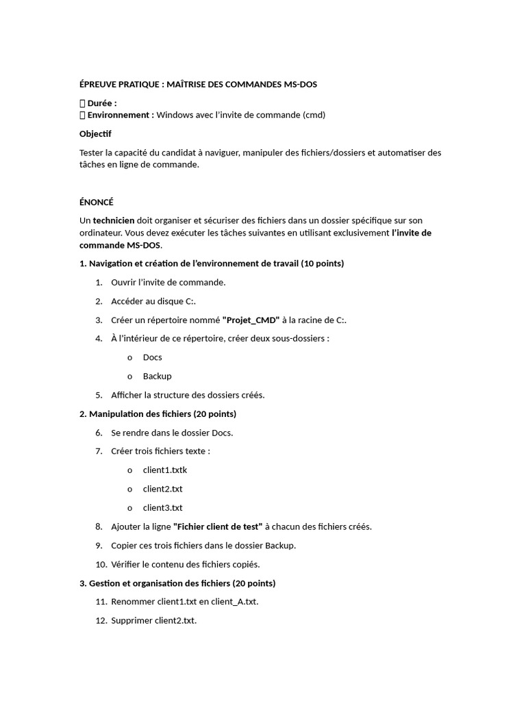 Maîtrise des commandes MS-DOS en pratique | PDF