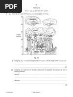 Rainforest Layers for Year 3 Students | PDF | Rainforest | Canopy (Biology)