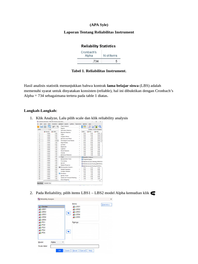 Langkah-Langkah Membuat Reliability (APA Syle) | PDF