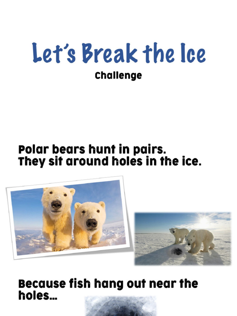 Ice Breaker | PDF