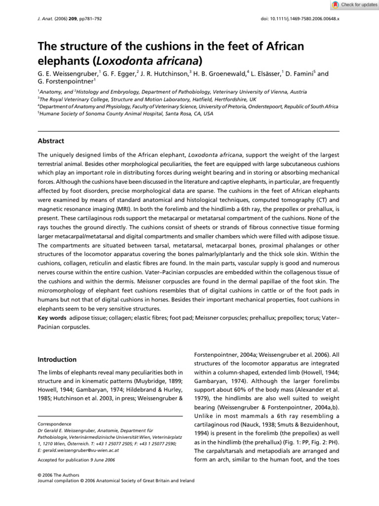 Structure of African Elephant Foot Cushions | PDF | Foot | Morphology ...