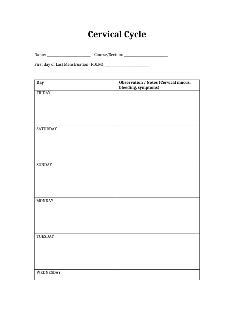 Cervical Cycle Template and Example | PDF