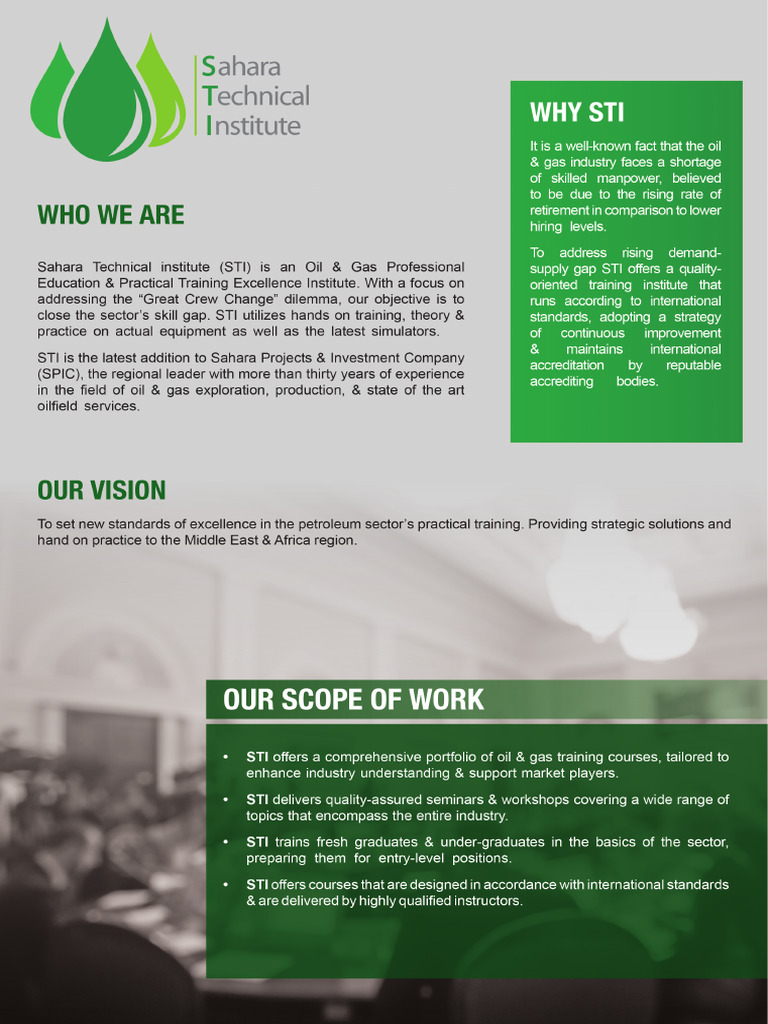 STI Brochure | PDF