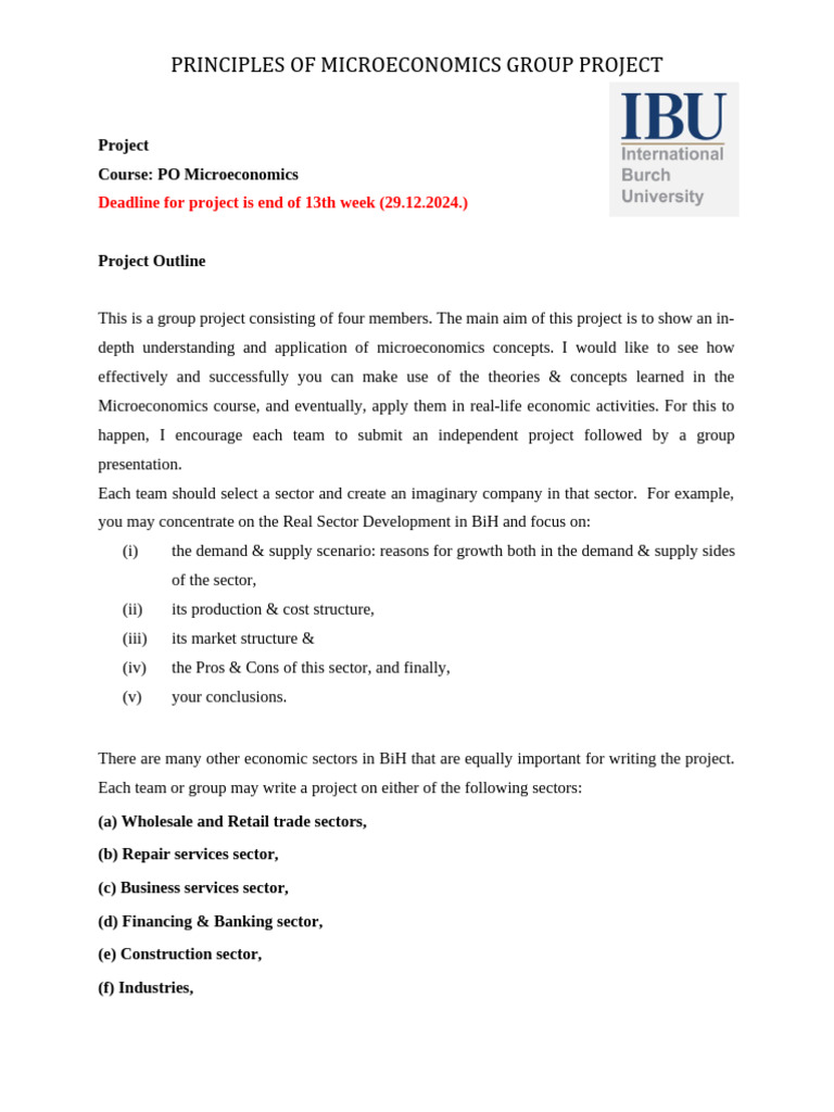 MICROECONOMICS - Project Instructions 2024 - 2025 | PDF | Elasticity ...