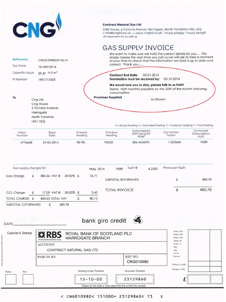 CNG Example Bill | PDF