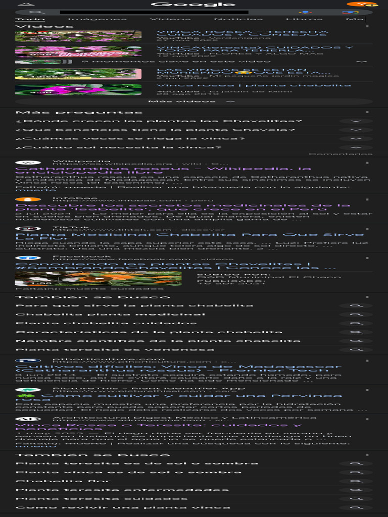 Chabelita Planta y Flor de Muerto Cuidados - Buscar Con Google | PDF ...