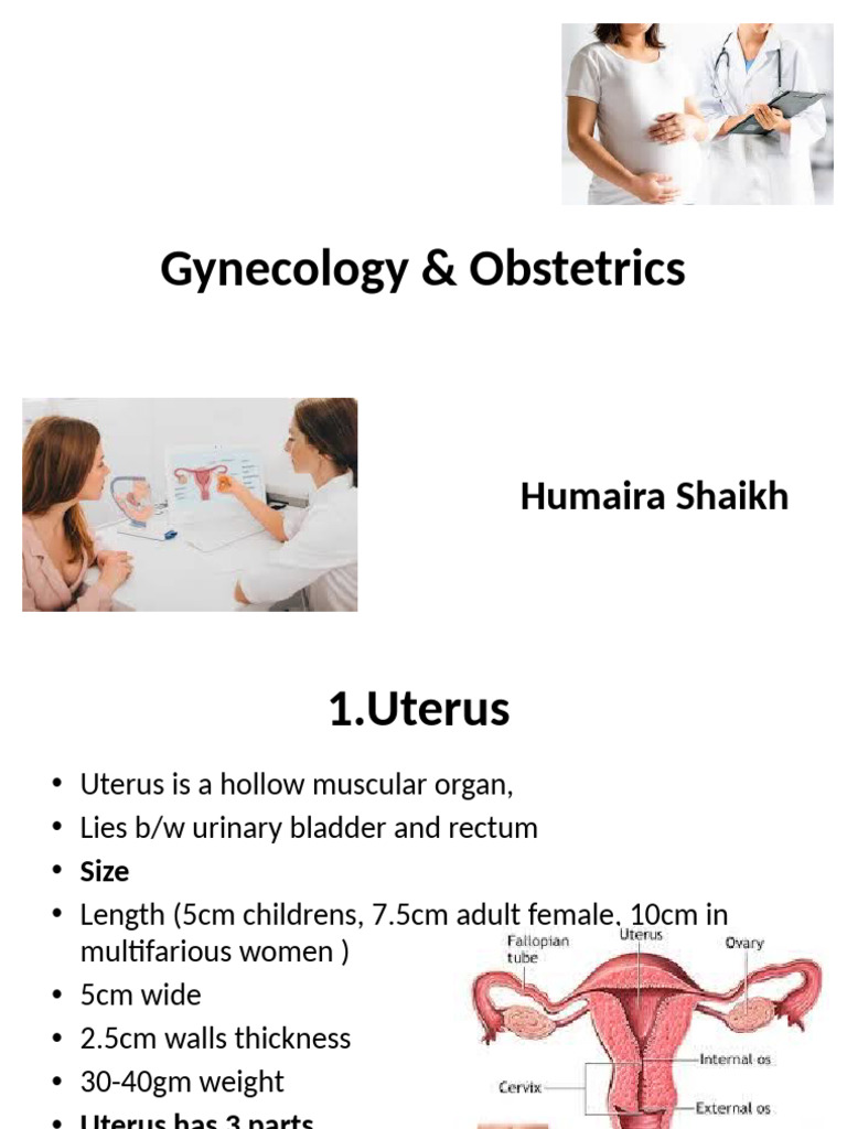 Gynecology & Obstetrics Ultrasound Easy Way | PDF | Menstrual Cycle ...