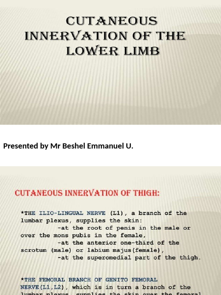 Cutaneous Innervation of Lower Limb | PDF