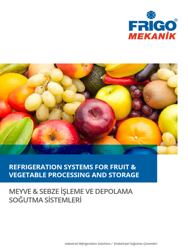 Fruit Vegetable Ref - sys.TR ENG | PDF