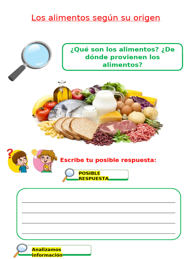 Alimentos según su origen | PDF | Alimentos