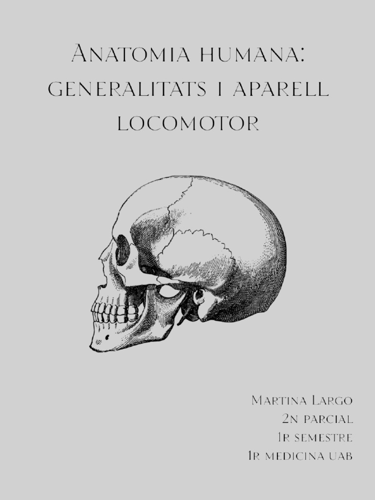 Apuntes Anatomia 1 Medicina | PDF | Hombro | Articulación