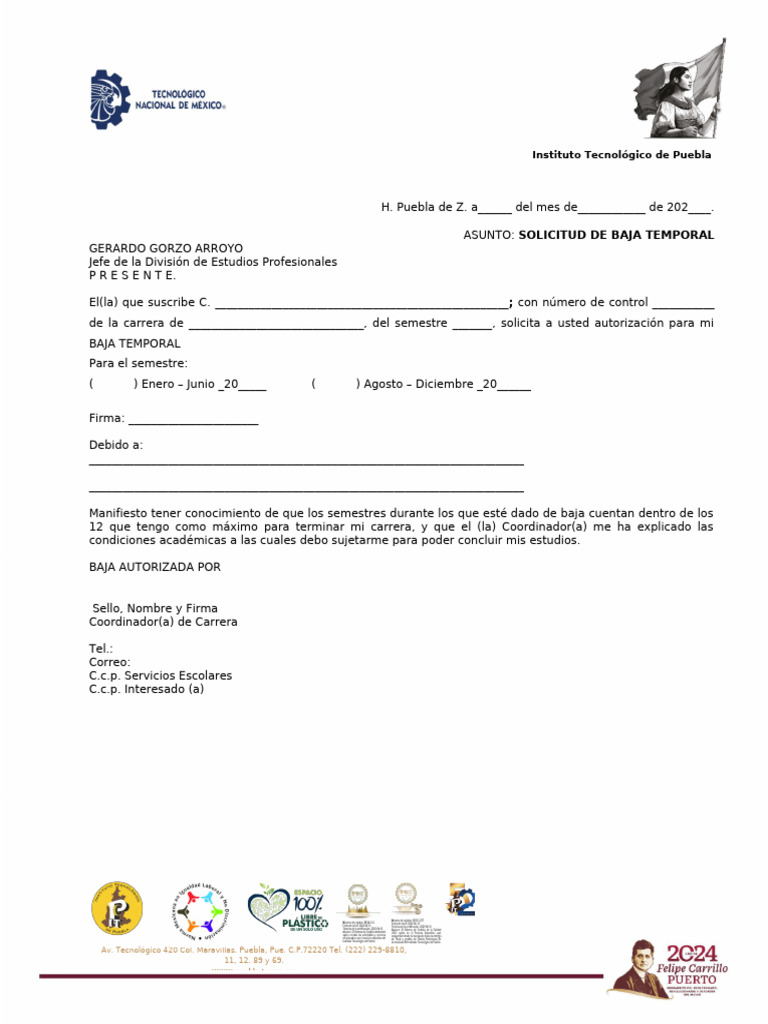 Solicitud Baja Temporal 11102024 | PDF