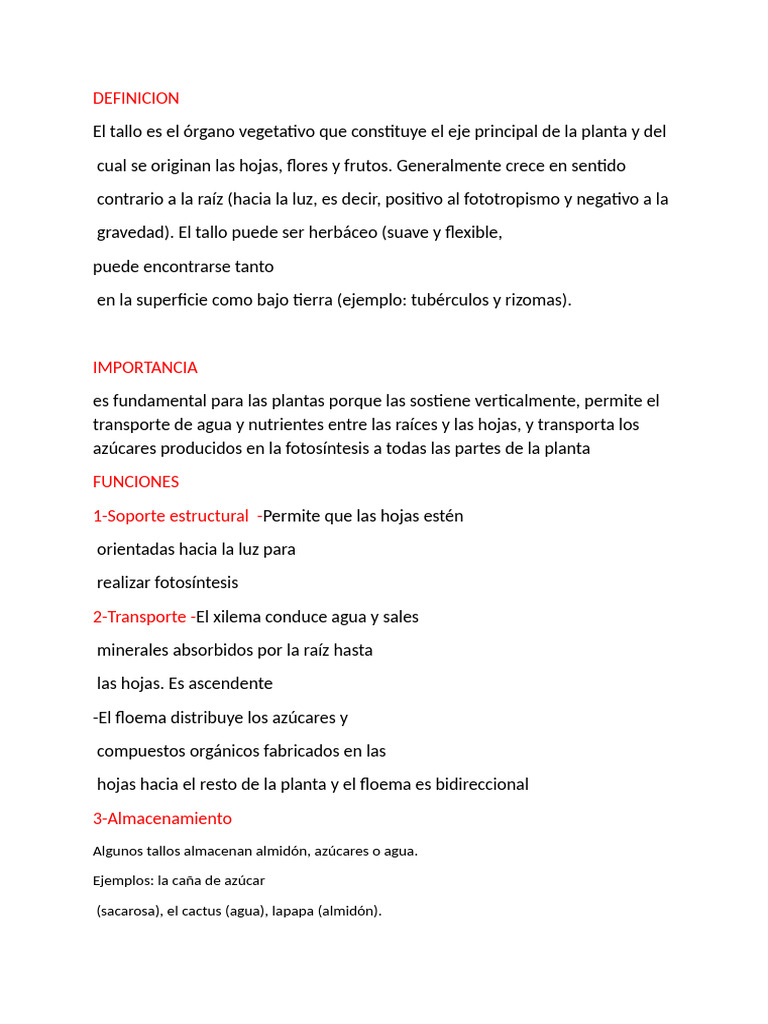Funciones y Tipos de Tallo en Plantas | PDF