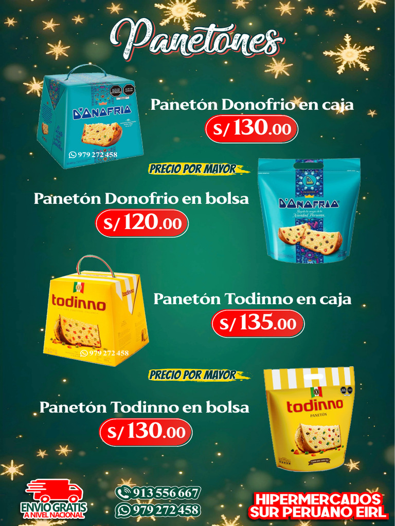 Mercosur Brochure 1 | PDF