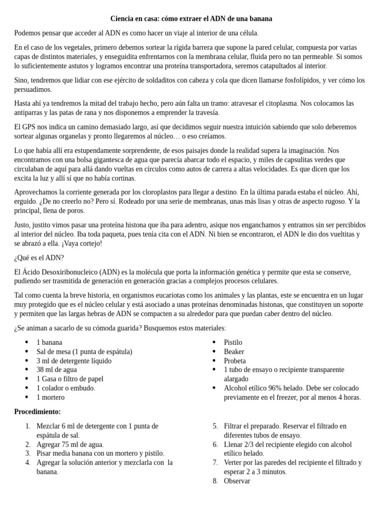 Extraccion de ADN de Un Banano | PDF | Nucleo celular | Adn