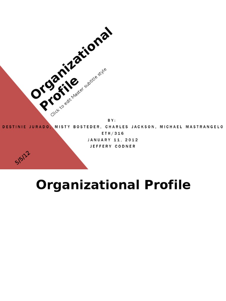 Eth316 Week 4-Organizational Profile | PDF