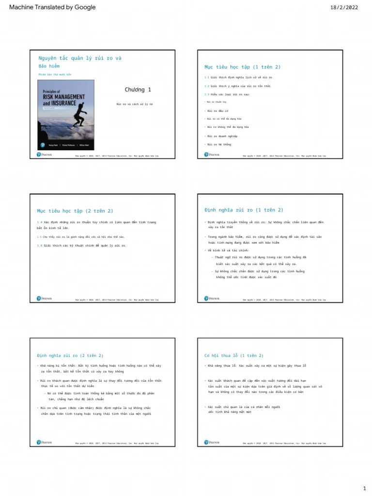 C01-Risk and Its Treatment | PDF