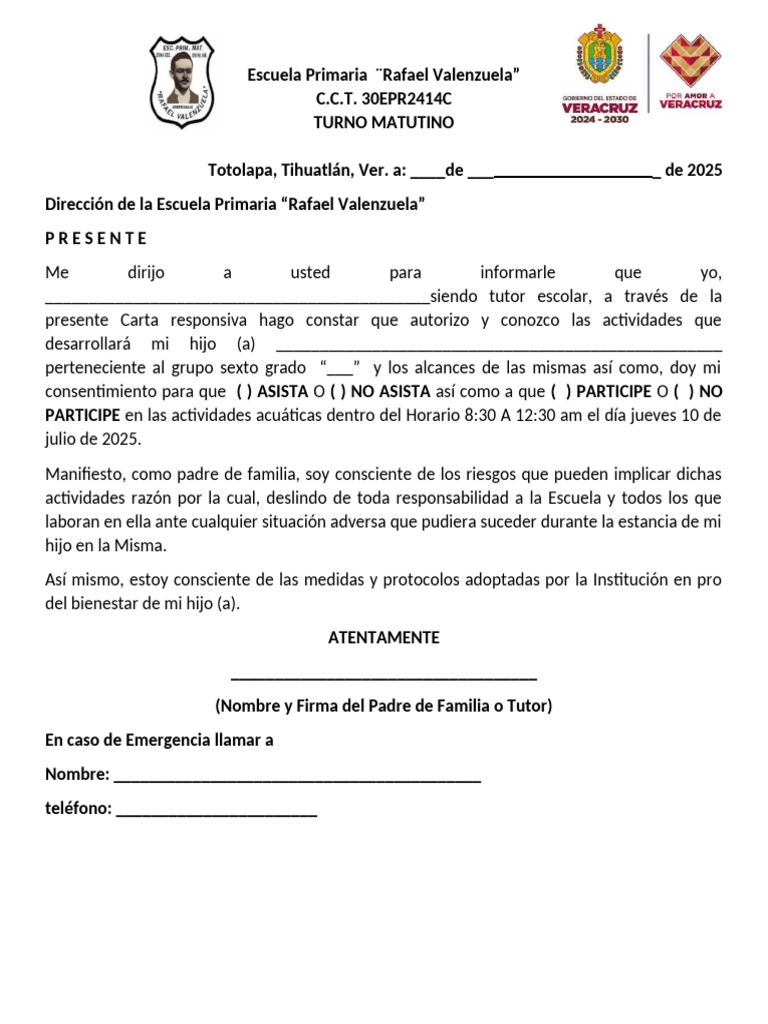 Carata Responsiva | PDF