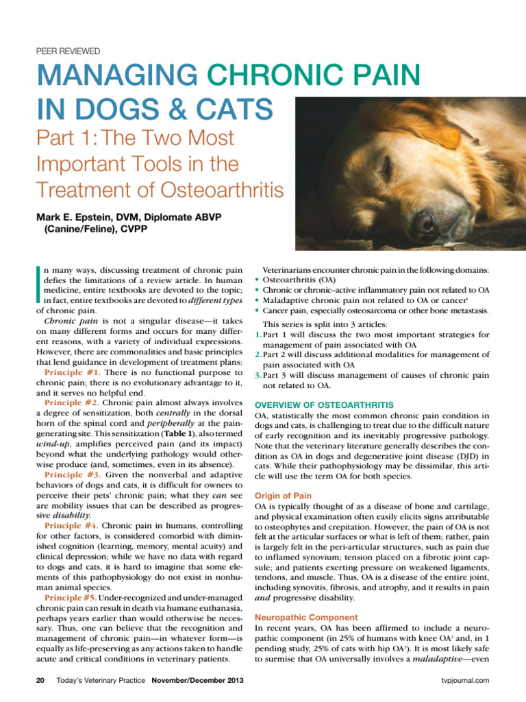 Epstein 2013. Managing Chronic Pain in Cats & Dogs, Part 1 - The Two ...