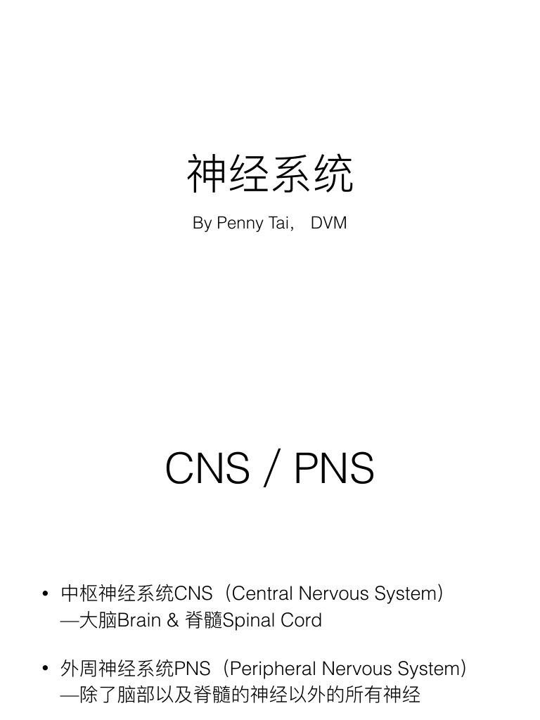 Neurological of Behaviour神经系统 | PDF
