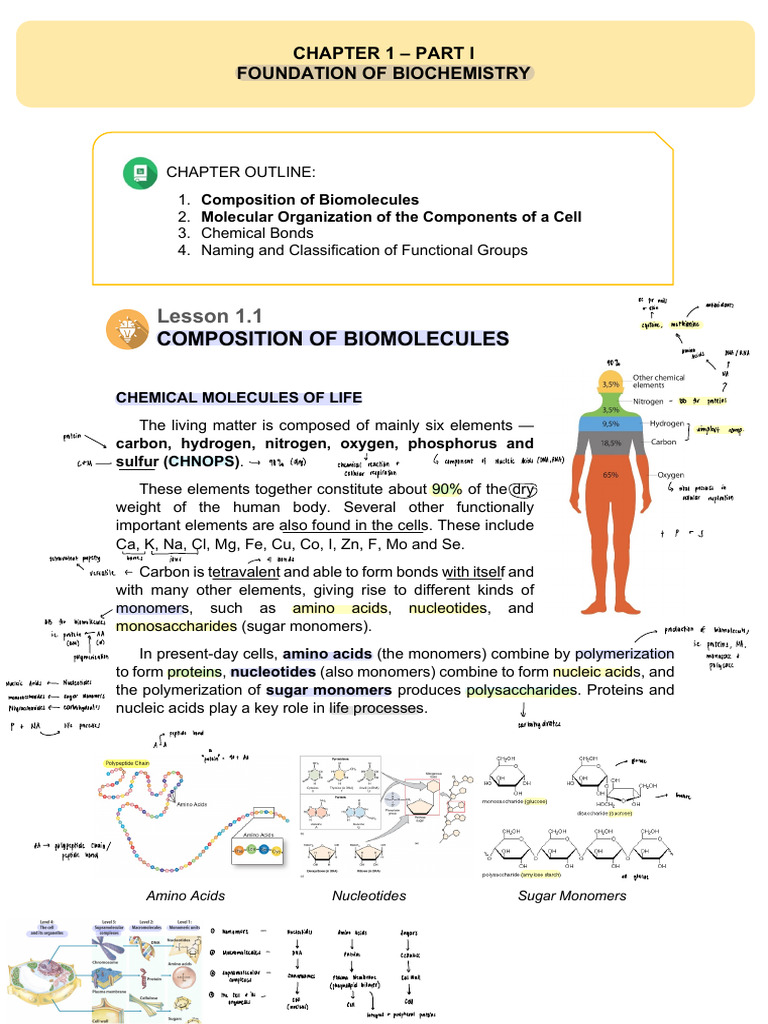 Biochem - Chapter 1 Part 1 | PDF | Cell (Biology) | Cell Nucleus